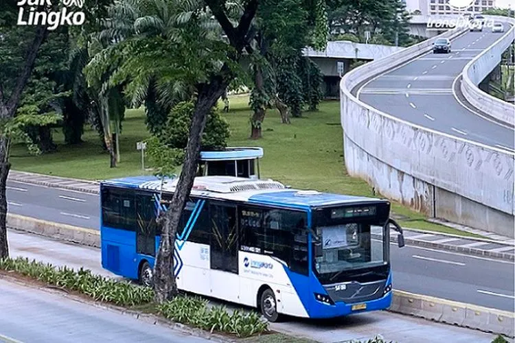 Transjakarta Luncurkan 6 Fitur Baru di Aplikasi Tije - AyoJakarta.com