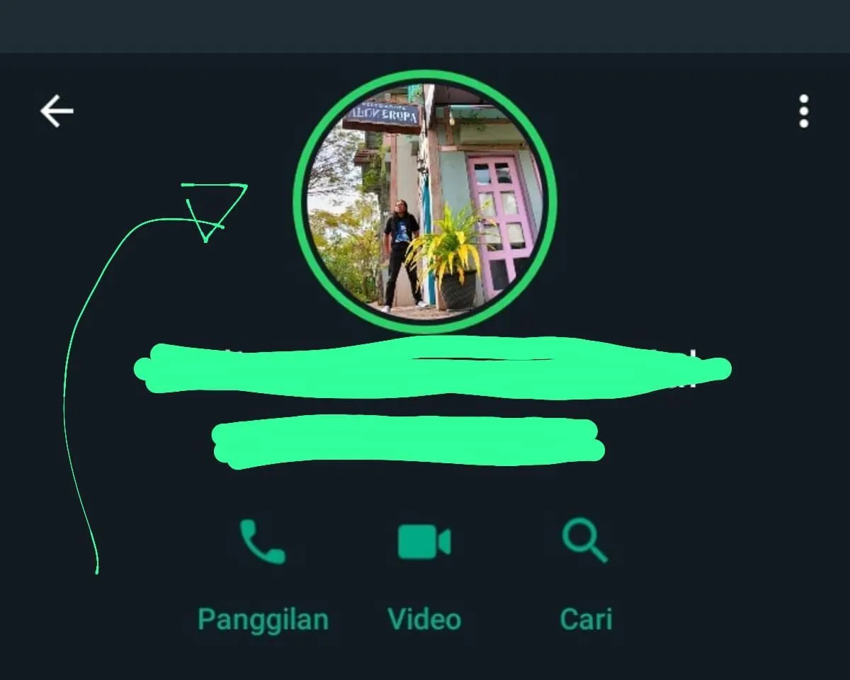Muncul Tanda Lingkaran Hijau dan Biru di Foto Profil WhatsApp, Ini Arti ...
