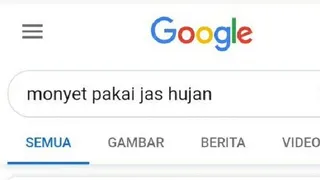 Viral Searching Monyet Pakai Jas Hujan, Heran Malah Muncul Foto Jokowi ...