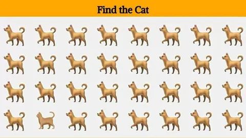 Tes Ilusi Optik: Ada 1 Kucing yang Bersembunyi pada Gambar Ini, Yuk ...